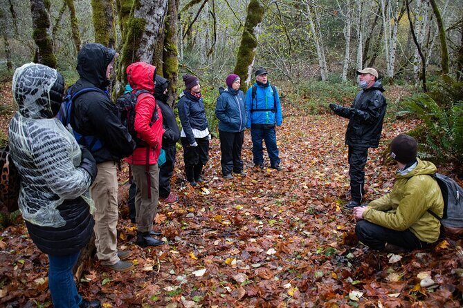 Foraging Tour of Edible Plants and Mushrooms in Brinnon - Is This Tour Worth the Cost?