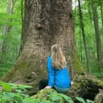 Forest Bathing & Nature Therapy Walk - Key Points