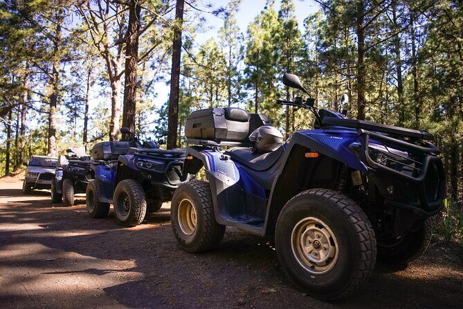 Forest & Off Road National Park Quad Biking Tour - Who Will Love This Tour?