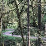 Forest Park Carbon Gravel Bike and E-Bike Tour - The Ride and Other Details