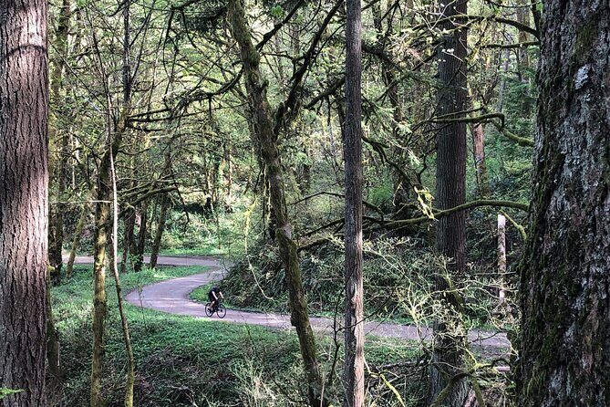 Forest Park Carbon Gravel Bike and E-Bike Tour - The Ride and Other Details