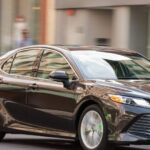 Fort Lauderdale: One Way Private Transfer to/from Airport - Who Should Consider This Service?