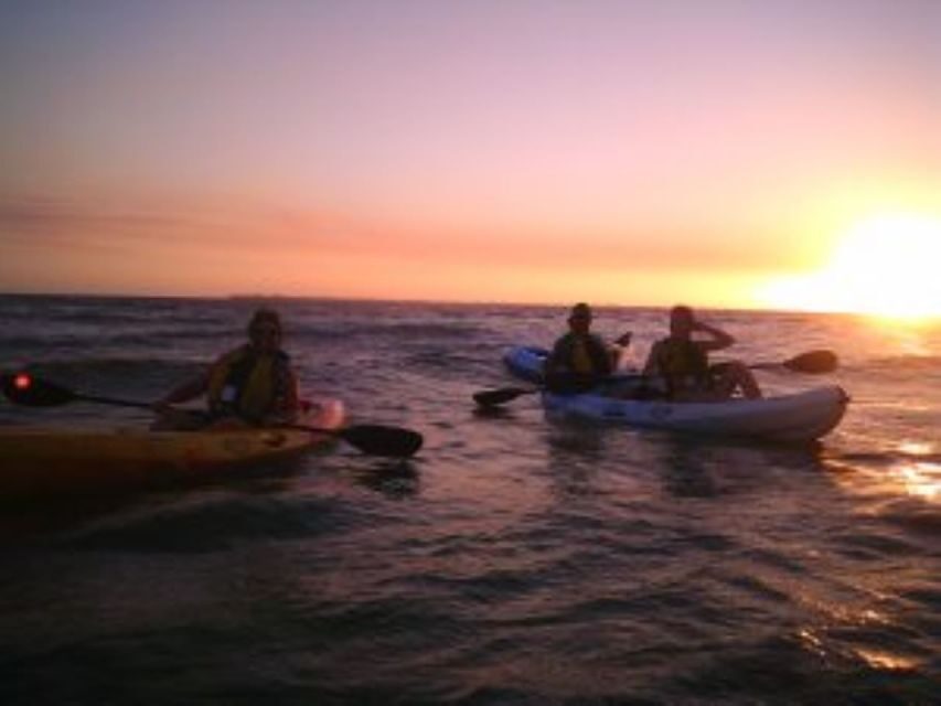 Fort Myers: Guided Sunset Kayaking Tour through Pelican Bay - Cost and Value