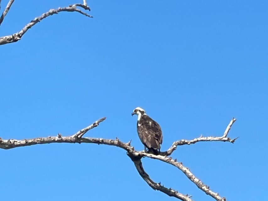 Fort Pierce: Prehistoric Preserve Kayak Tour - Who Is This Tour For?