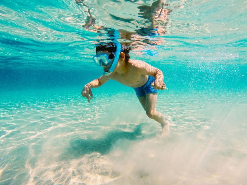 Fort Walton Beach: Morning Dolphin Cruise with Snorkel Stop - The Itinerary in Detail