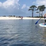 Fort Walton Beach: Paddle Board Rental - What to Expect from Your Paddle Board Rental Experience