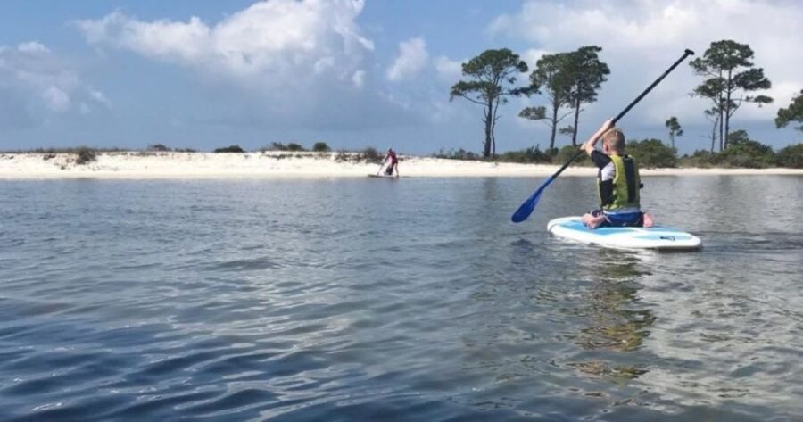 Fort Walton Beach: Paddle Board Rental - What to Expect from Your Paddle Board Rental Experience