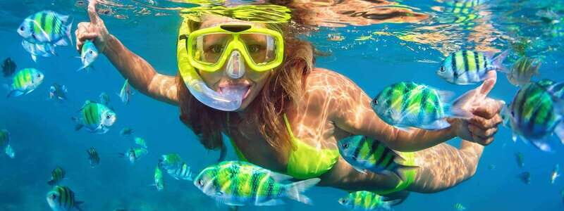Fort Walton: Dolphin Discovery and Snorkeling Cruise - What to Expect During the Cruise