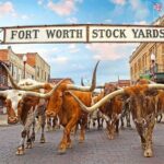 Fort Worth Highlights & Southfork Ranch Combo Tour - Who Should Consider This Tour?