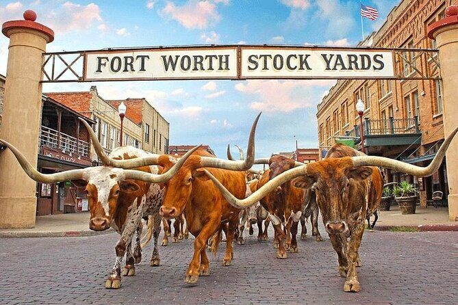 Fort Worth Highlights & Southfork Ranch Combo Tour - Who Should Consider This Tour?