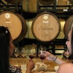 Fredericksburg Hill Country Aficionado Wine Tour from San Antonio - Authentic Experiences and Highlights from Reviews