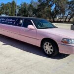 Fredericksburg Private Wine Tour Lincoln Limo - Detailed Breakdown: What to Expect and Why It Matters