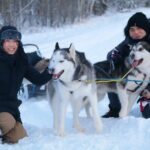 Free Pickup/Drop off: Alaskan Husky Dog Sledding with Free Photo - The Itinerary in Detail