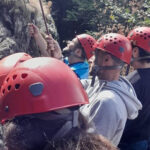 Freiburg: Climbing Course in the Black Forest - Analyzing the Value: Is It Worth It?