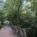 French Bicycle Tour of Central Park - Cinema - The Itinerary: What You’ll See and Why It Matters