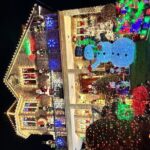 French Christmas Tour in Brooklyn - Who Should Consider This Tour?