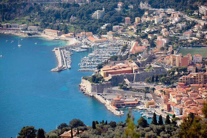 French Riviera Full or Half Day Private Tour with a Qualified Guide Driver - What the Reviews Say About the Guide and Logistics