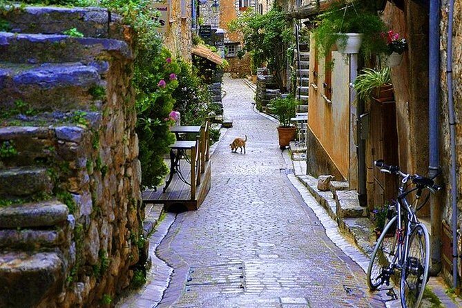 French Riviera & Medieval villages Full Day Private Tour - Who Should Consider This Tour?