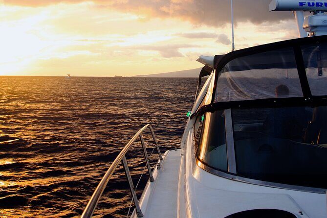 Friday Fireworks Cruise in Oahu, Hawaii - Practical Details & Tips