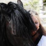 Friesian Herd Tours, Workshops, Classes and Retreats in the Kettle Moraine area. - The Itinerary and Experience Breakdown