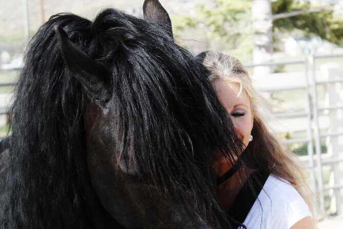 Friesian Herd Tours, Workshops, Classes and Retreats in the Kettle Moraine area. - The Itinerary and Experience Breakdown