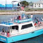 Frisky Mermaid Public Dolphin + Sightseeing Cruise Up to 49 Pax - Authentic Encounters and Real Reviews