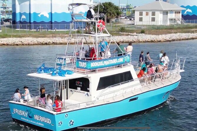 Frisky Mermaid Public Dolphin + Sightseeing Cruise Up to 49 Pax - Authentic Encounters and Real Reviews