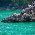From Alanya: Green Canyon Boat Trip with Lunch and Drinks - The Experience: Authenticity and Real-Life Insights