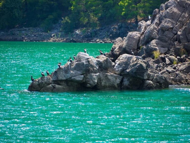 From Alanya: Green Canyon Boat Trip with Lunch and Drinks - The Experience: Authenticity and Real-Life Insights
