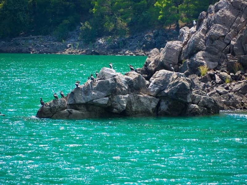 From Alanya: Green Canyon Boat Trip with Lunch and Drinks - The Experience: Authenticity and Real-Life Insights
