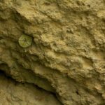 From Albufeira: Benagil Caves Excursion by Boat Private - The Itinerary and What Makes It Special