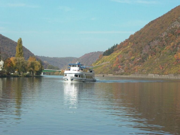 From Alken: Moselle Valley Sightseeing Cruise - Analyzing the Value: Is It Worth It?