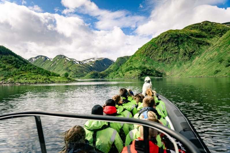 From Alta: Experience Seiland National Park - The Value of This Tour