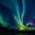 From Alta: Whale and Seabird Cruise - Authenticity and Education