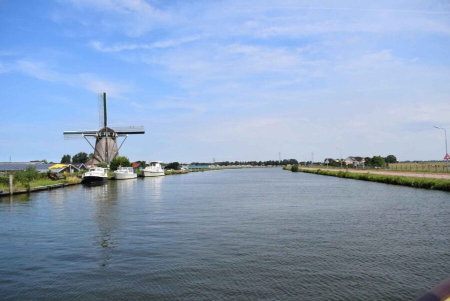 From Amsterdam: Holland Flower and Windmill Tour - summer ed - Pricing and Value: Does It Make Sense?