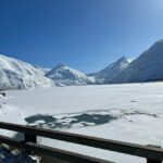 From Anchorage: Alaska Wildlife Center & Turnagain Arm Tour - The Authentic Experience: What You’ll Remember