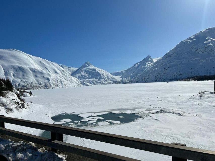 From Anchorage: Alaska Wildlife Center & Turnagain Arm Tour - The Authentic Experience: What You’ll Remember