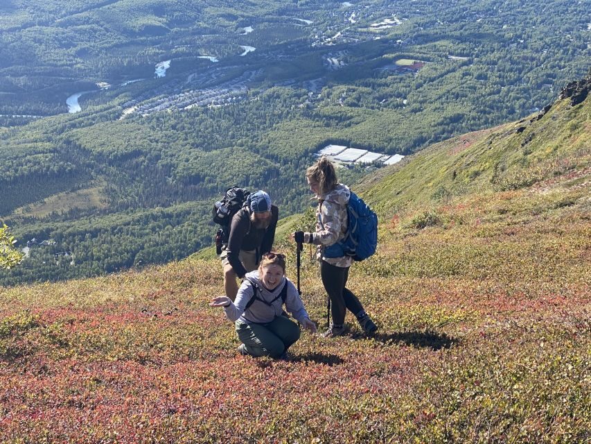 From Anchorage: Chugach State Park Guided Alpine Trek - The Hike Itself