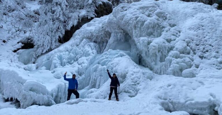 From Anchorage: Chugach State Park Winter Walking Tour - What Travelers Say