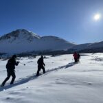 From Anchorage: Glen Alps Beginner's Snowshoeing Adventure - Wildlife and Nature: Watch for Alaska’s Winter Residents