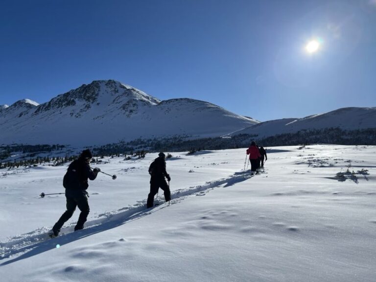 From Anchorage: Glen Alps Beginner's Snowshoeing Adventure - Wildlife and Nature: Watch for Alaska’s Winter Residents