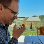 From Athens: Olive Oil Tasting, Olive Grove & Wine Experience - Why Travelers Rave About This Tour