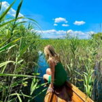 From Bar: Skadar Lake Land and Boat Tour - Exploring the Itinerary in Depth