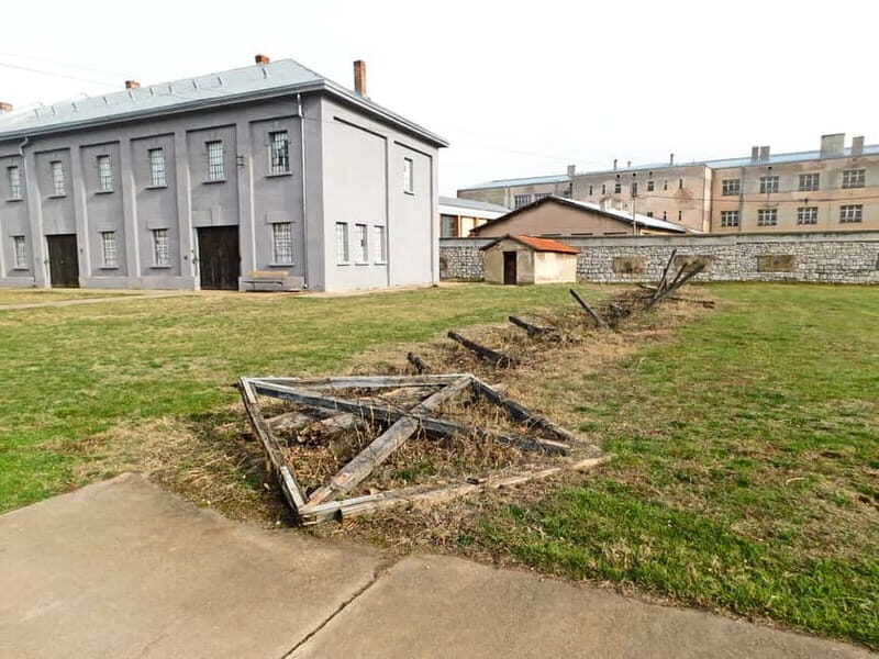 From Belgrade: Ni and Devil's Town Private Day Tour - Transportation and Logistics