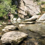 From Berat to Bogova Waterfall - What Makes This Tour Stand Out?