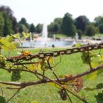 From Berlin: Potsdam Half-Day Tour in Spanish - The Value of the Tour