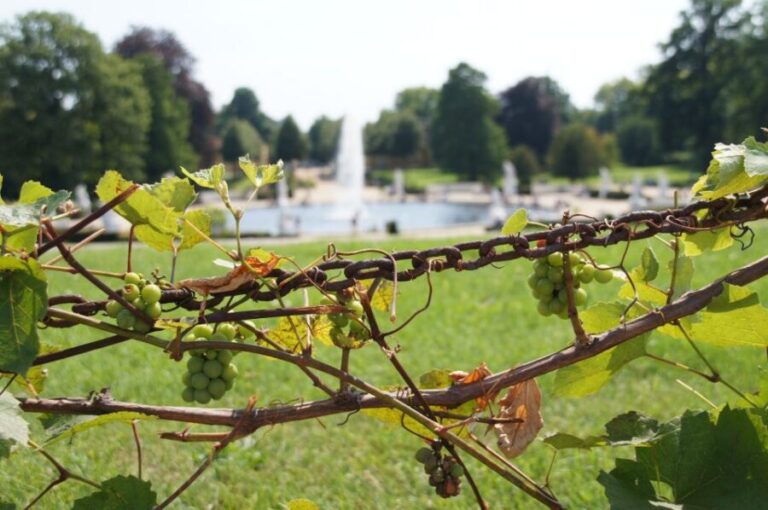 From Berlin: Potsdam Half-Day Tour in Spanish - The Value of the Tour