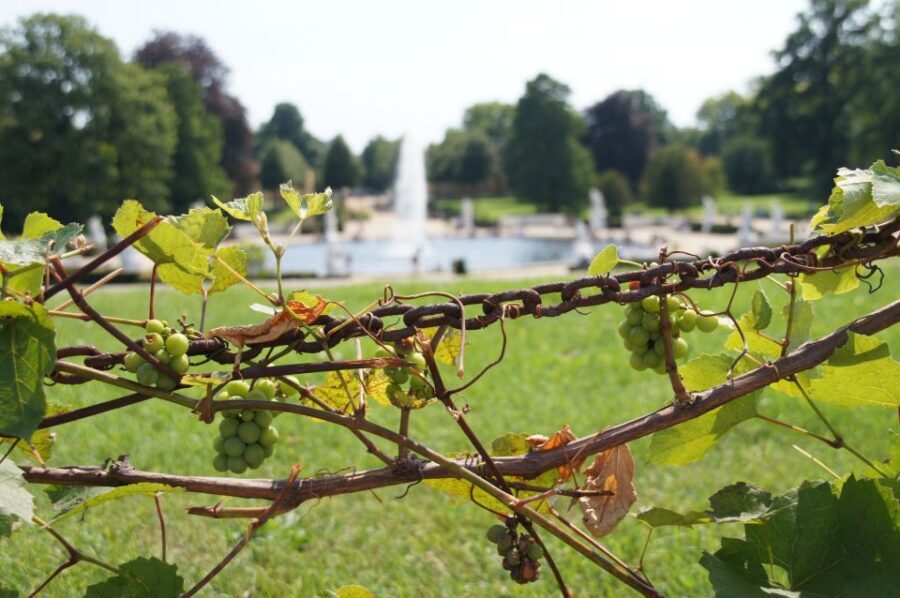 From Berlin: Potsdam Half-Day Tour in Spanish - The Value of the Tour