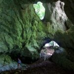 From Bled: Half-Day Pokljuka Gorge Trail Hike - Who Will Enjoy This Tour?