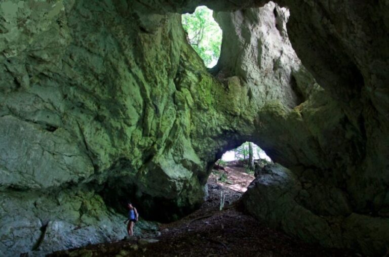 From Bled: Half-Day Pokljuka Gorge Trail Hike - Who Will Enjoy This Tour?